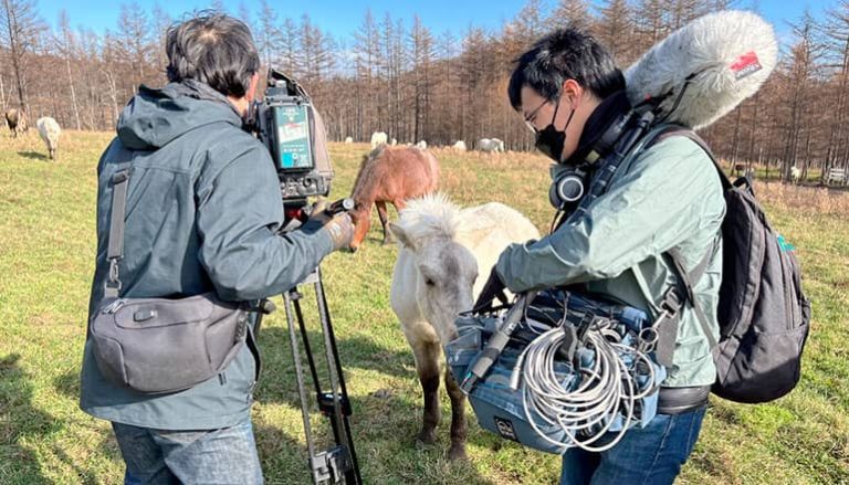 STVニュース | STV SDGs