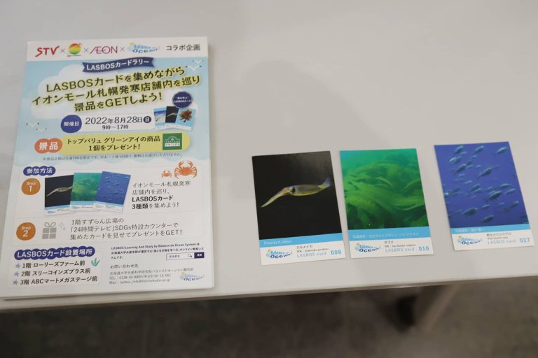 24時間テレビにご参加・ご協力ありがとうございました！ | STV SDGs