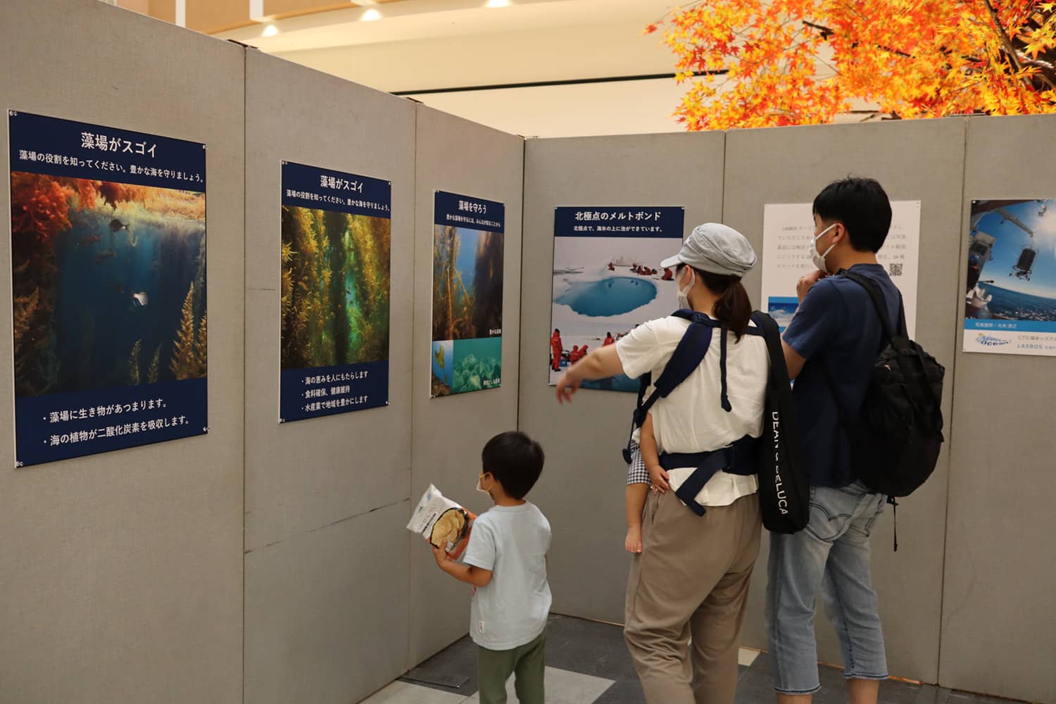 24時間テレビにご参加・ご協力ありがとうございました！ | STV SDGs